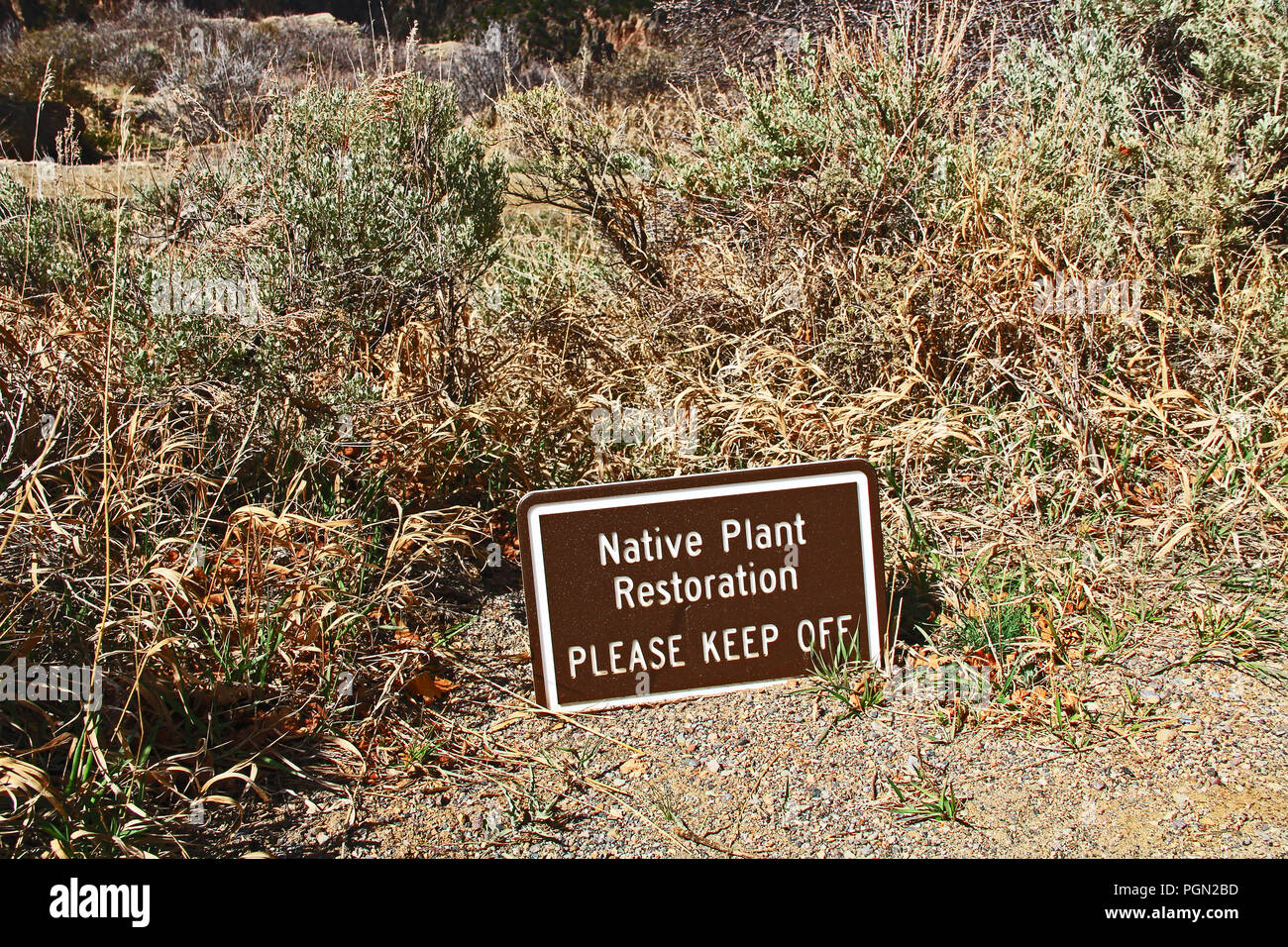 Native Plant Restoration Sign in Black Canyon at Chasm View Stock Photo ...