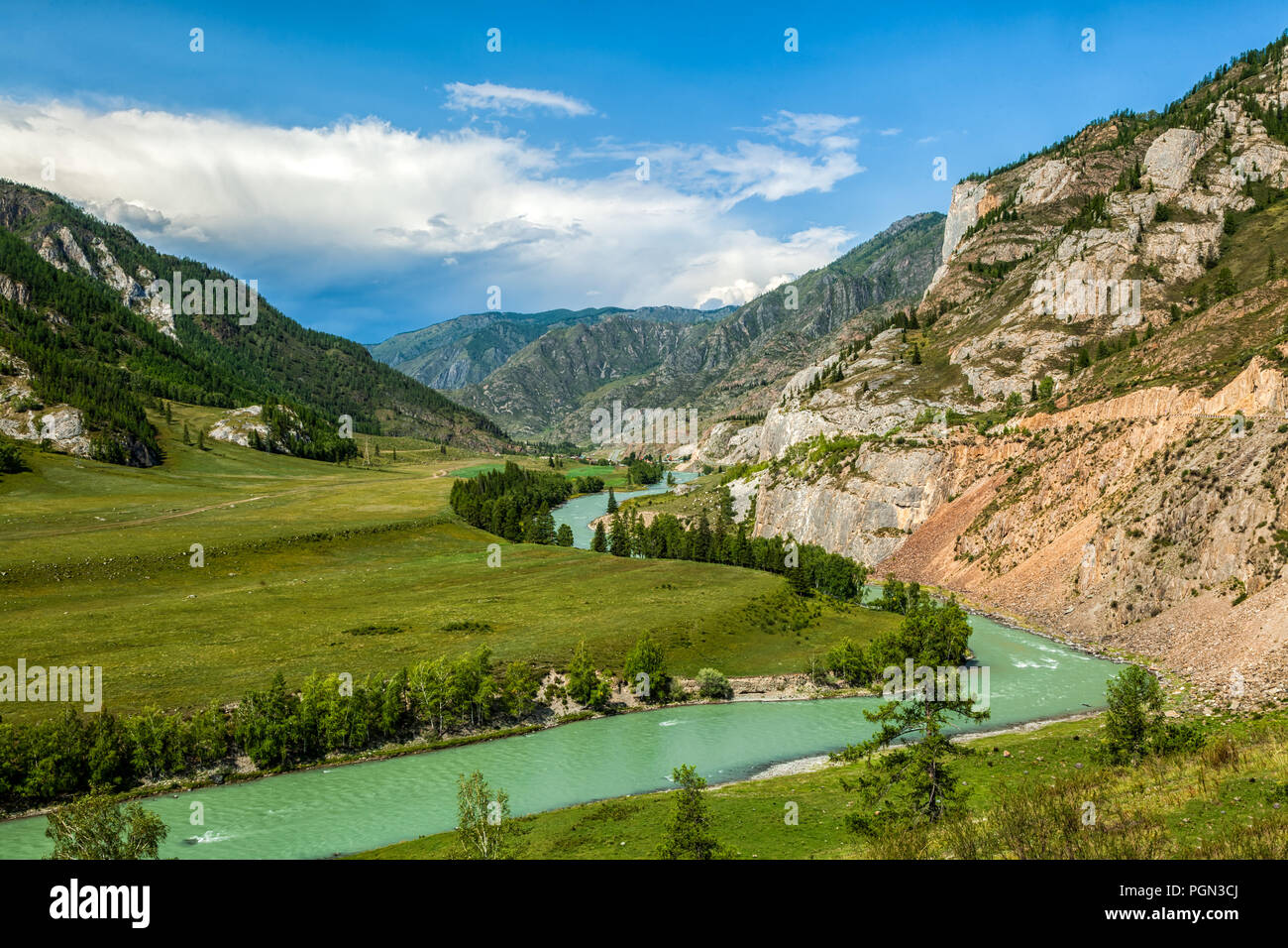 Panoramic view of the mountain river near ALtai, Russia. Mountain river ...