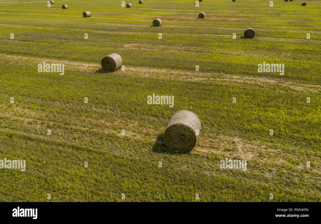 Aerial view of a green field with haystacks Stock Photo - Alamy