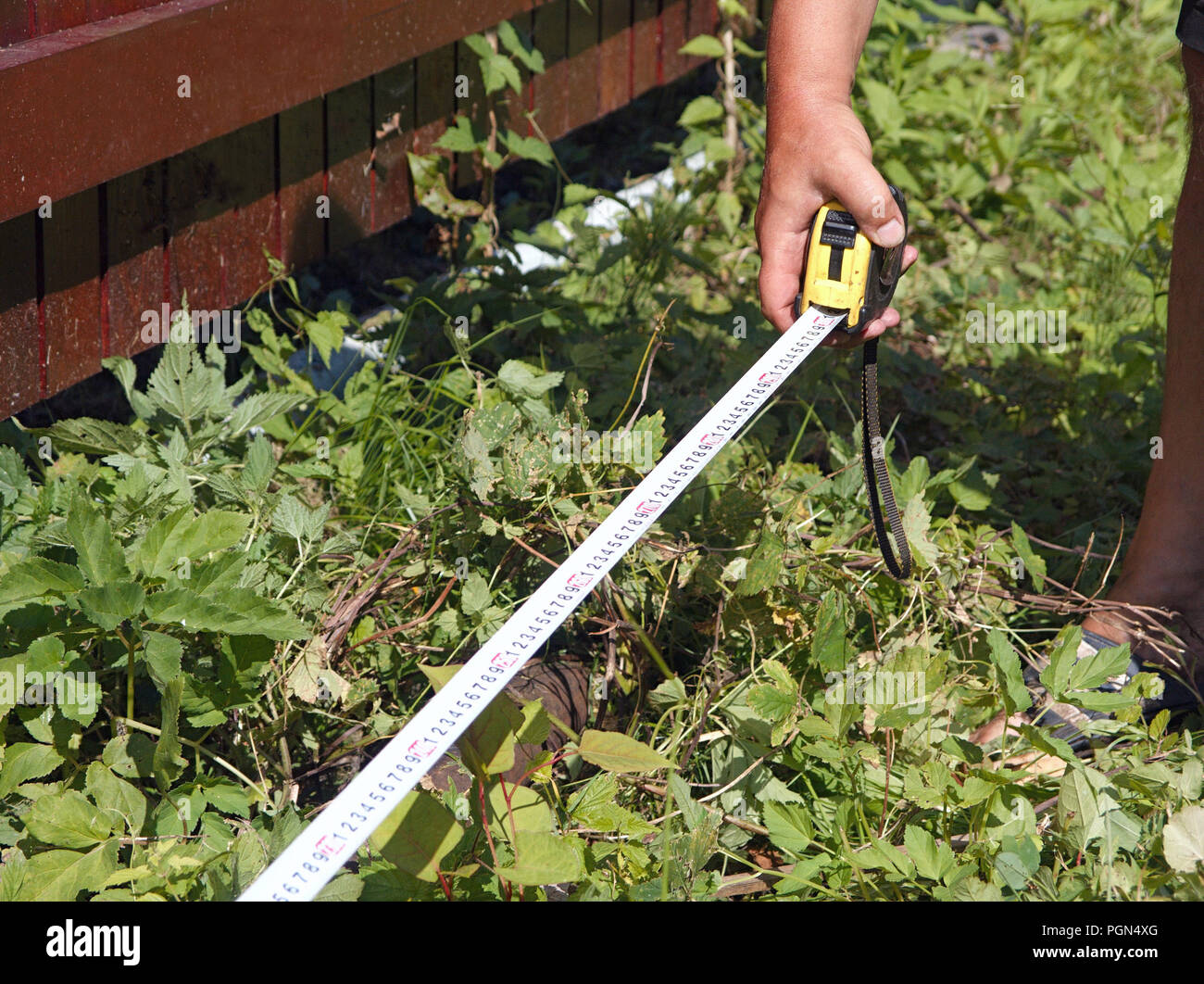 A male hand holding measuring tape, outdoor closeup Stock Photo - Alamy