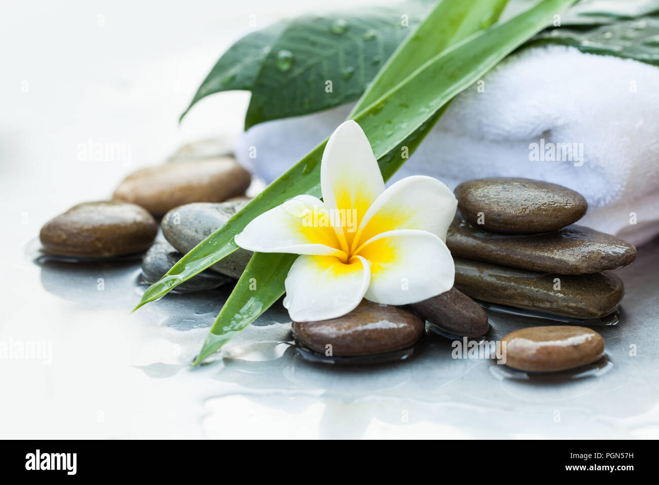 Stones, flowers and leaves for massage treatment on white background ...