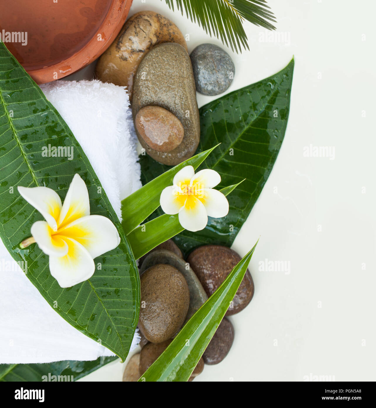 Spa background with green leaves, flowers and white flowers Stock Photo ...