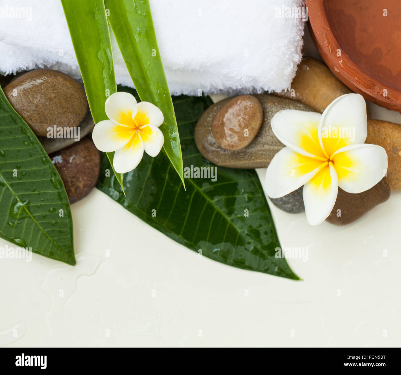 Top view of two spa flowers and stones for massage treatment on white ...