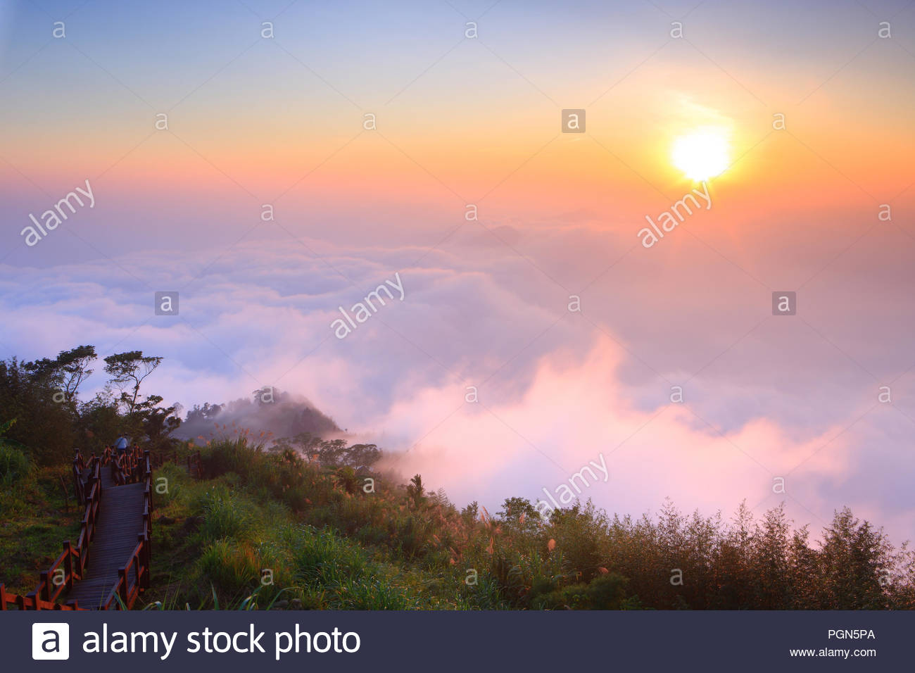 Alishan National Scenic Area Stock Photos & Alishan National Scenic ...