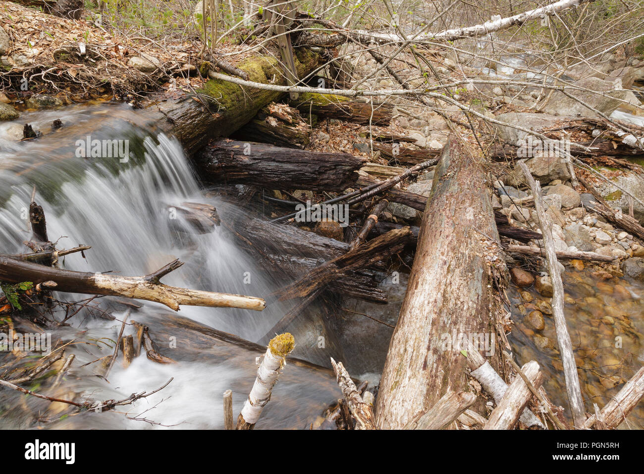 Mad river logging era hi-res stock photography and images - Alamy