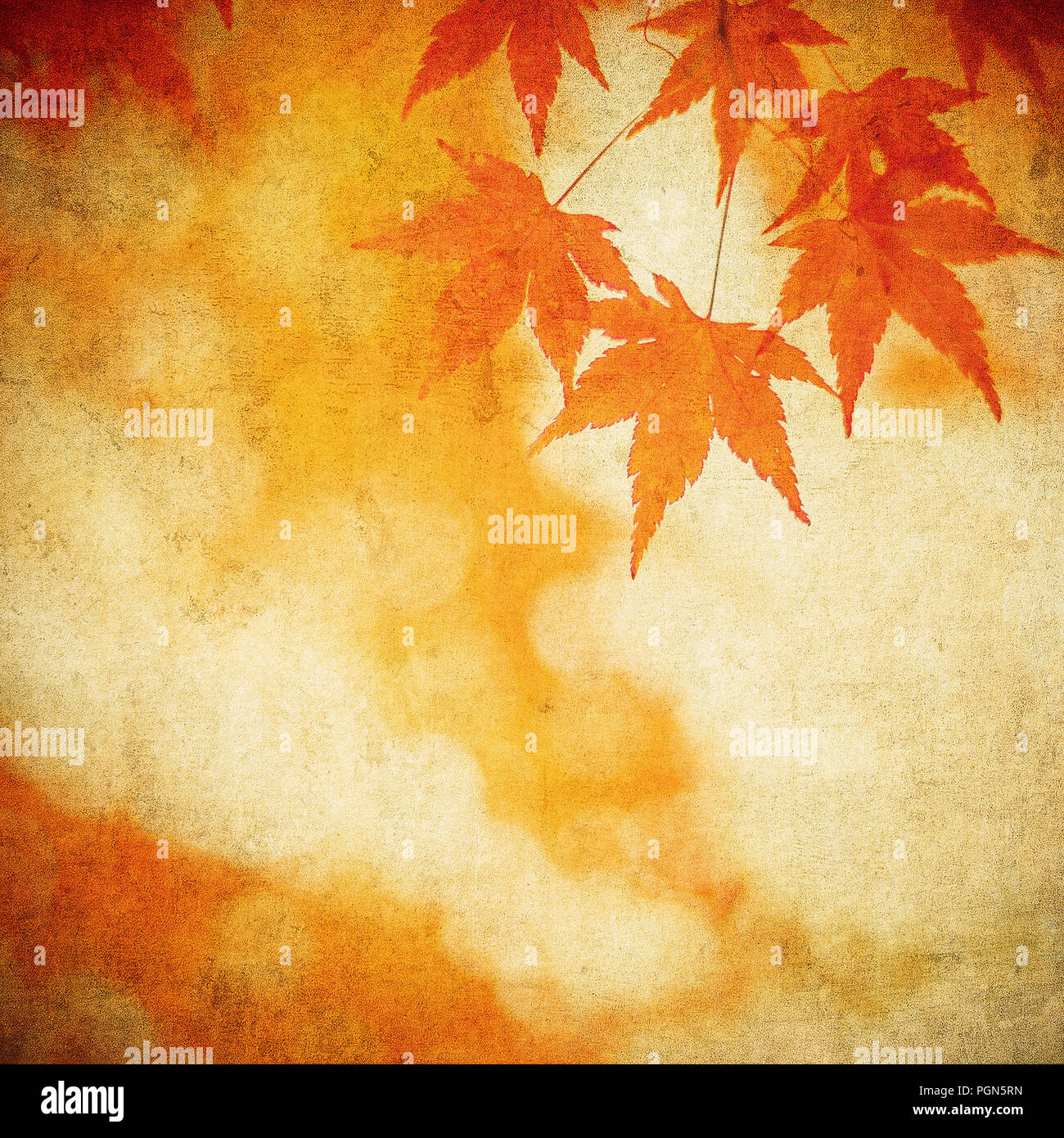 grunge background with autumn leaves Stock Photo - Alamy