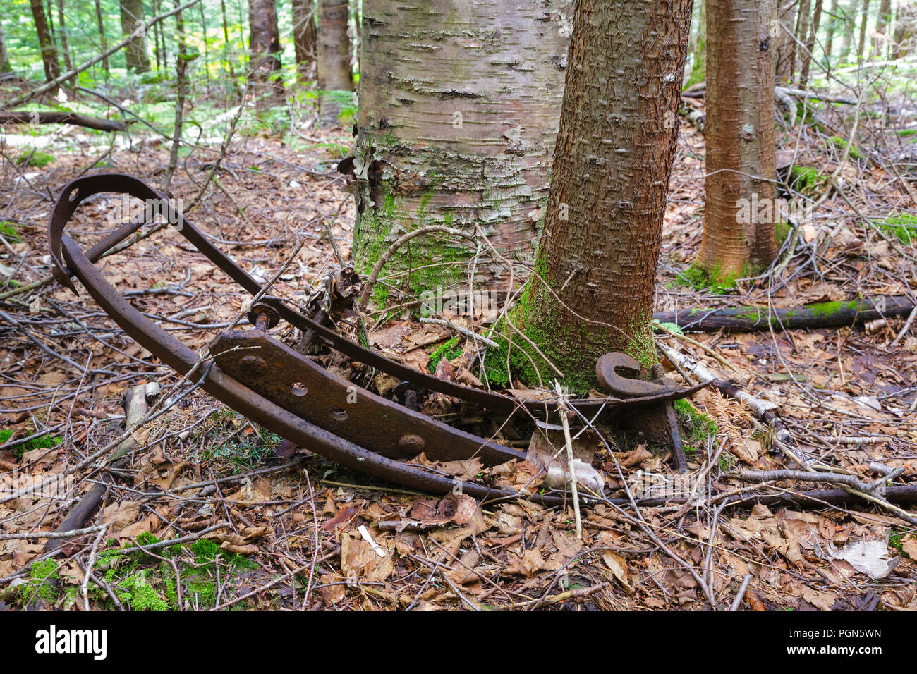 Logging bobsled hi-res stock photography and images - Alamy