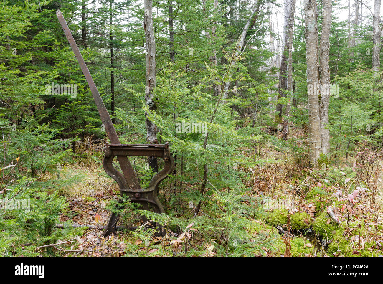 An abandoned harp switch stand along the old Beebe River Railroad (1917 ...