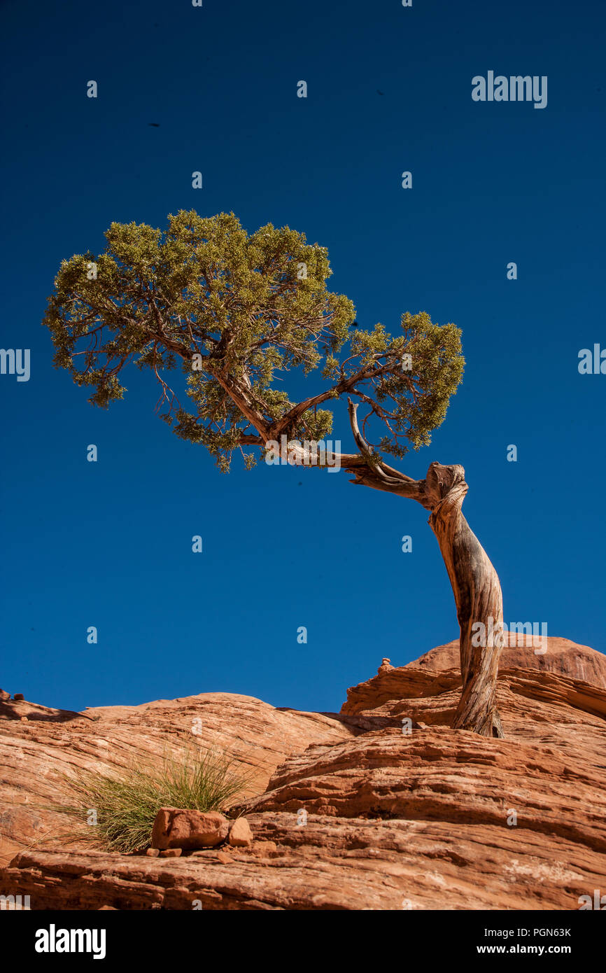 Reddish stone ledge hi-res stock photography and images - Alamy