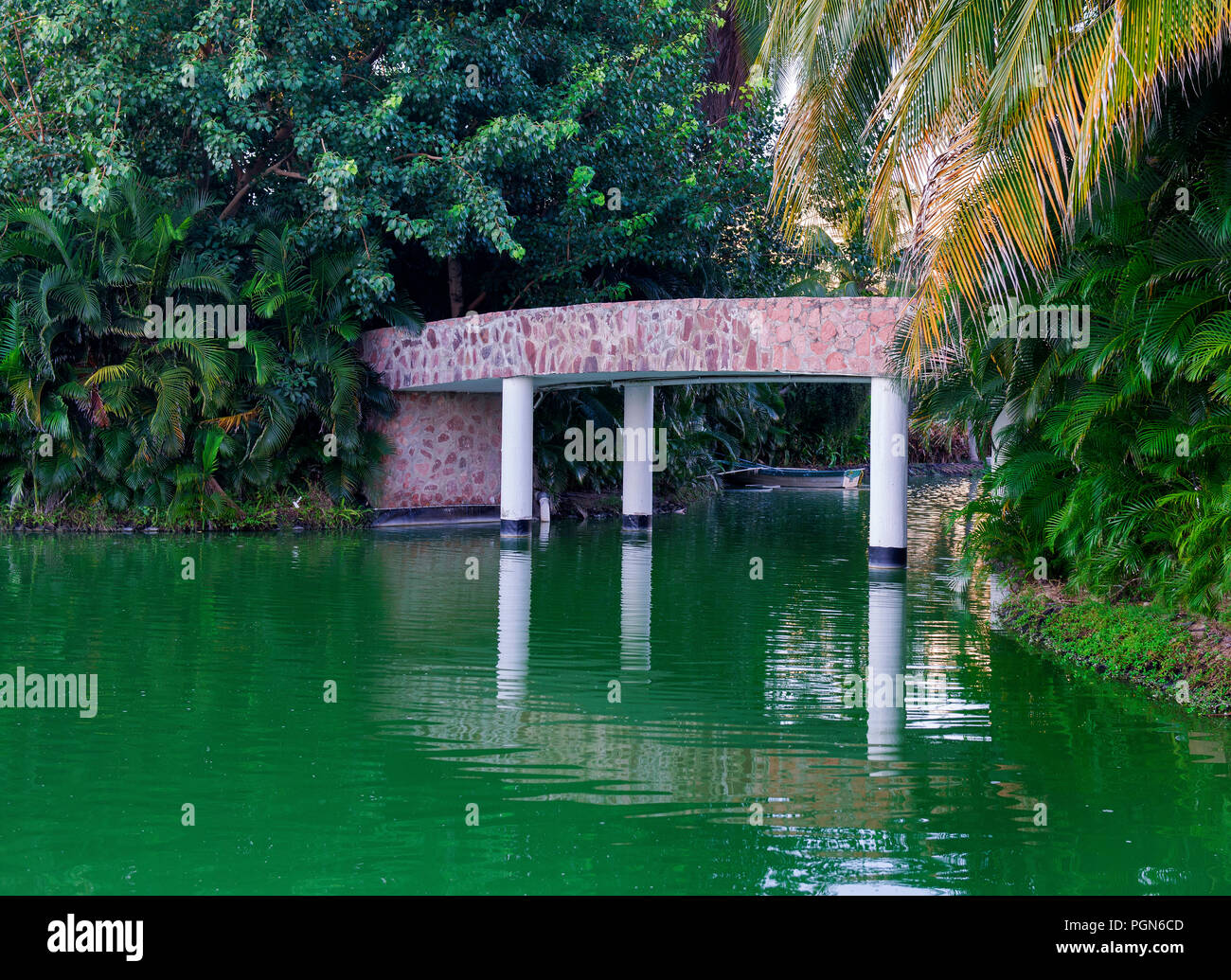 Tropical Jungle with Bridge Stock Photo - Alamy