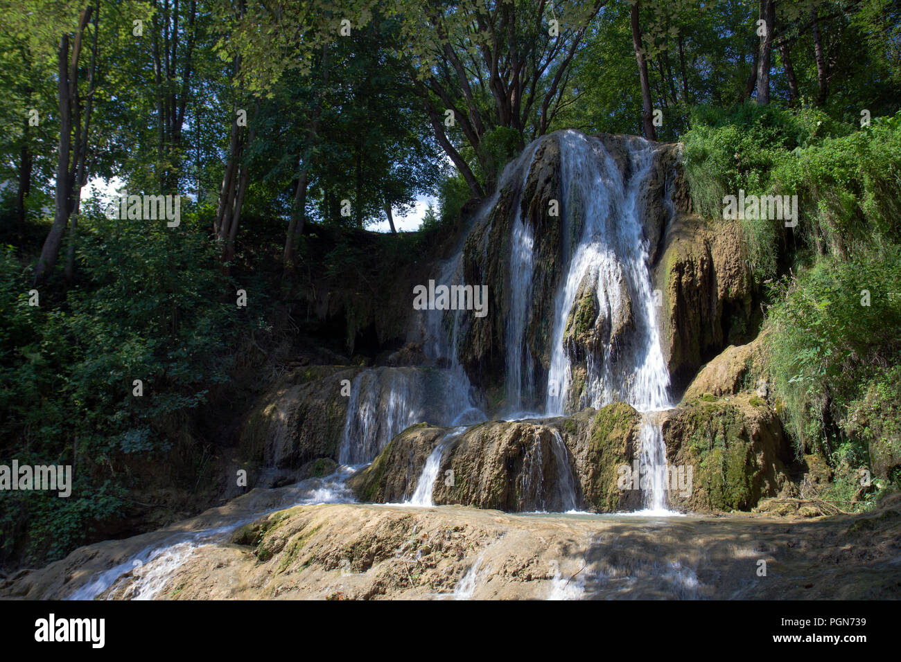 Water ecosystem hi-res stock photography and images - Alamy