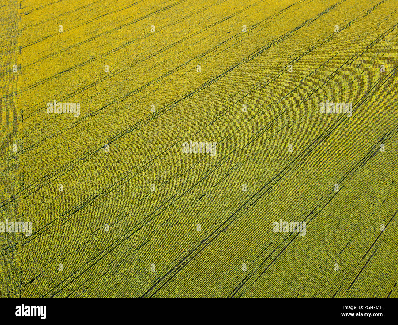 Aerial seeding plane hi-res stock photography and images - Alamy