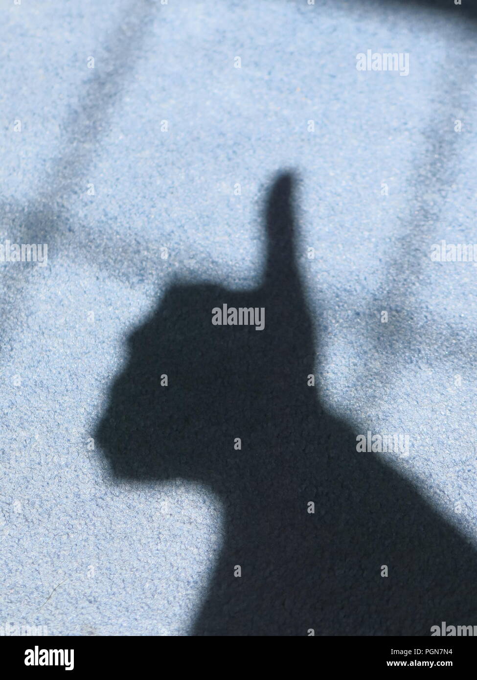 Silhouette of a person's left hand in the 'thumb's up' position ...