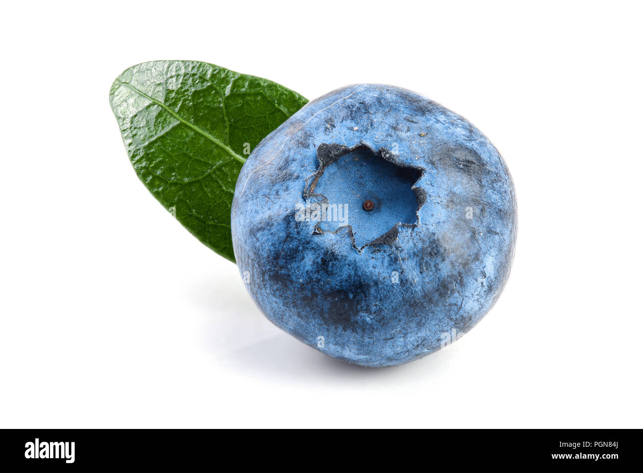 Single fresh blueberry with leaf isolated on white background Stock ...