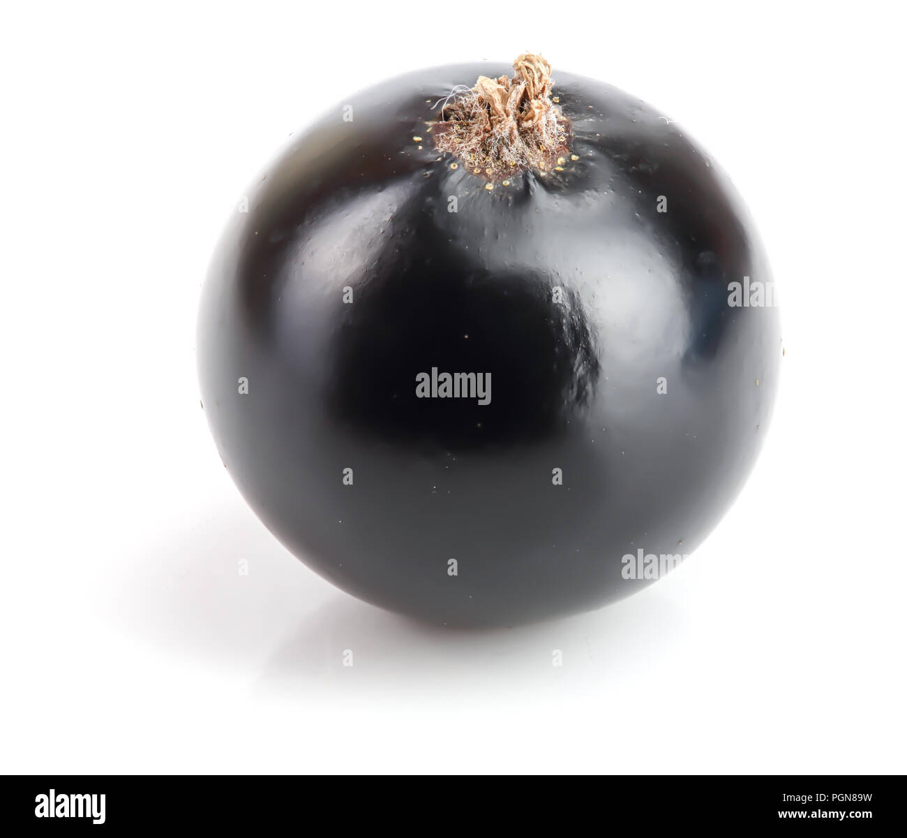 One black currant isolated on white background Stock Photo - Alamy