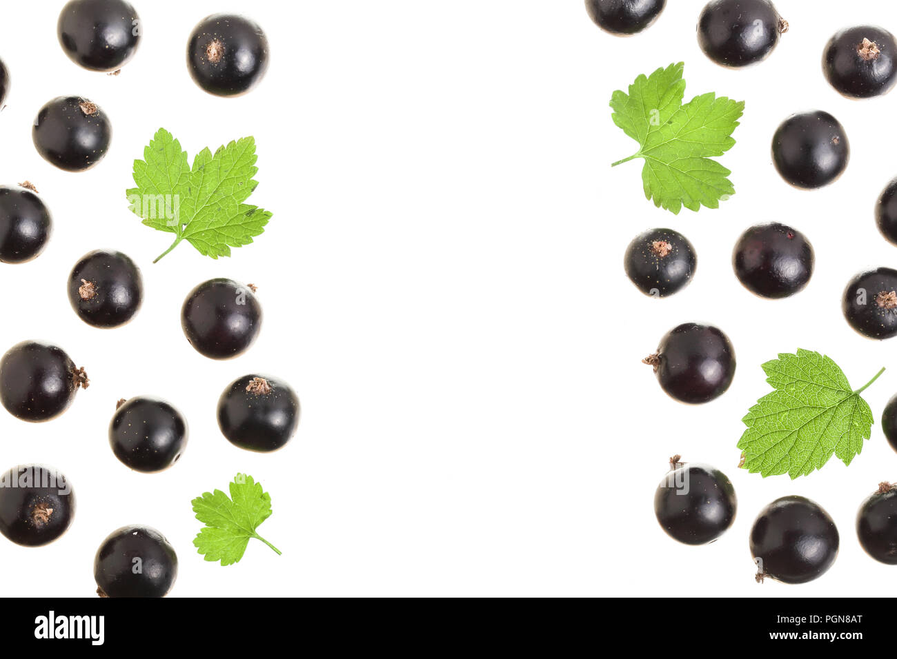 black currant isolated on white background with copy space for your ...