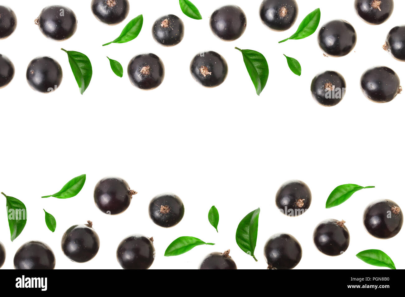 black currant isolated on white background with copy space for your ...