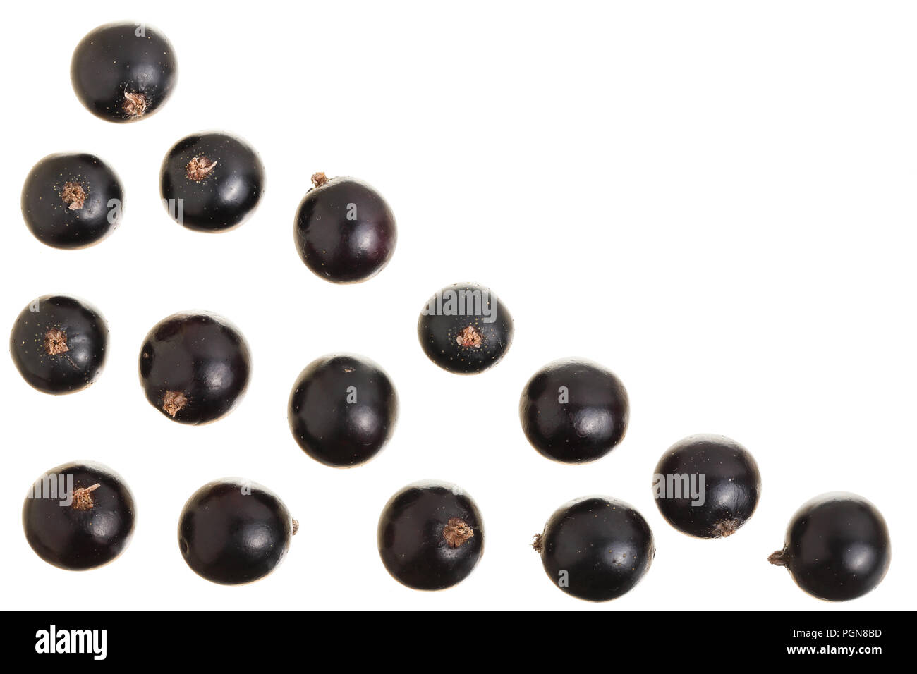 black currant isolated on white background with copy space for your ...