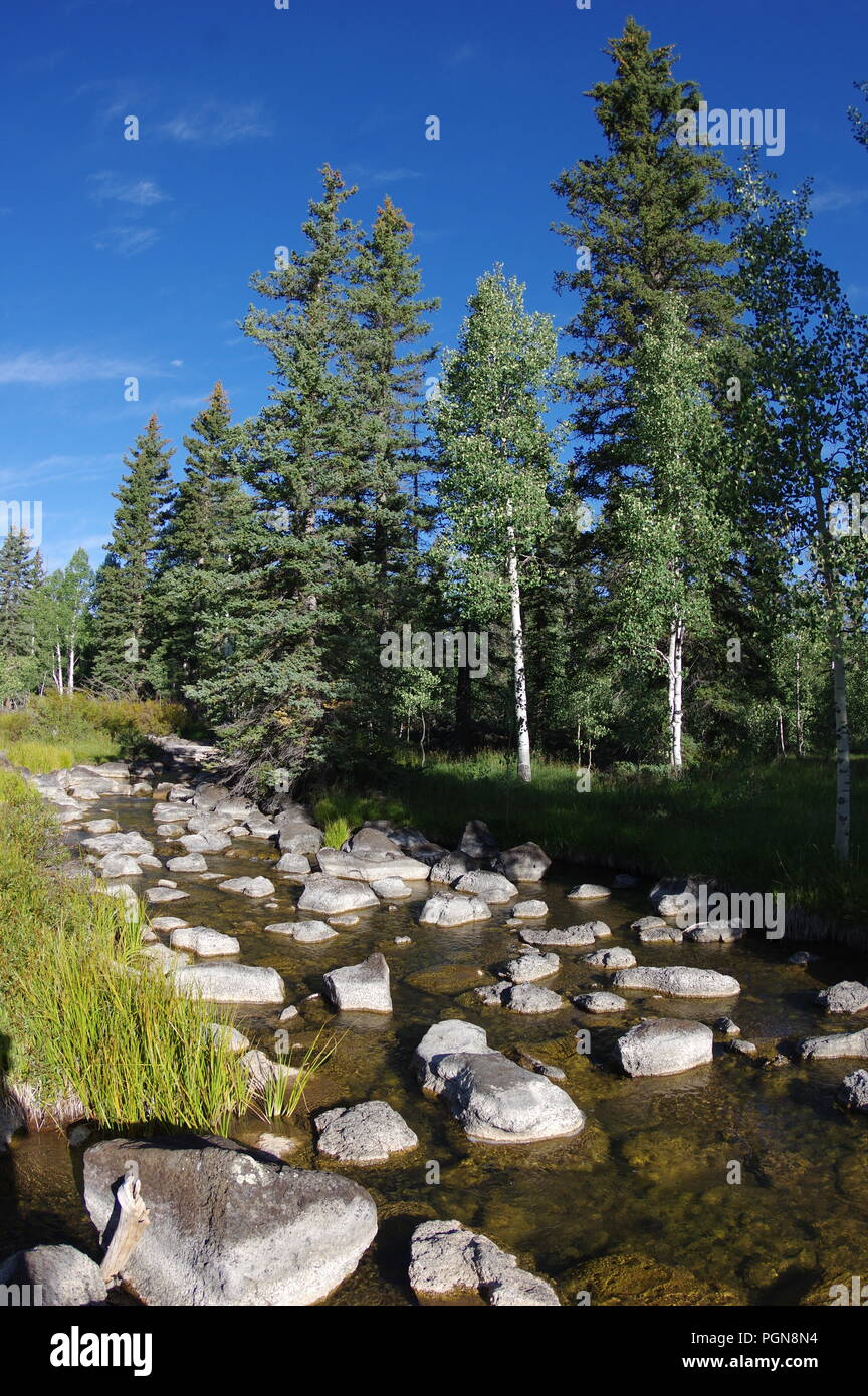 Duck creek hi-res stock photography and images - Alamy
