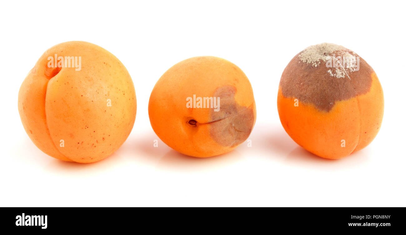 Rotten peach hi-res stock photography and images - Alamy