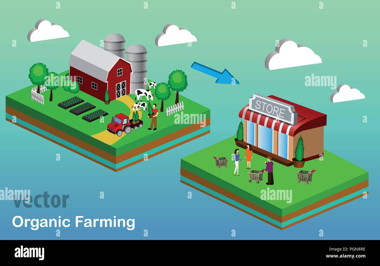 Organic market concept. Vector illustration of a store of organic ...