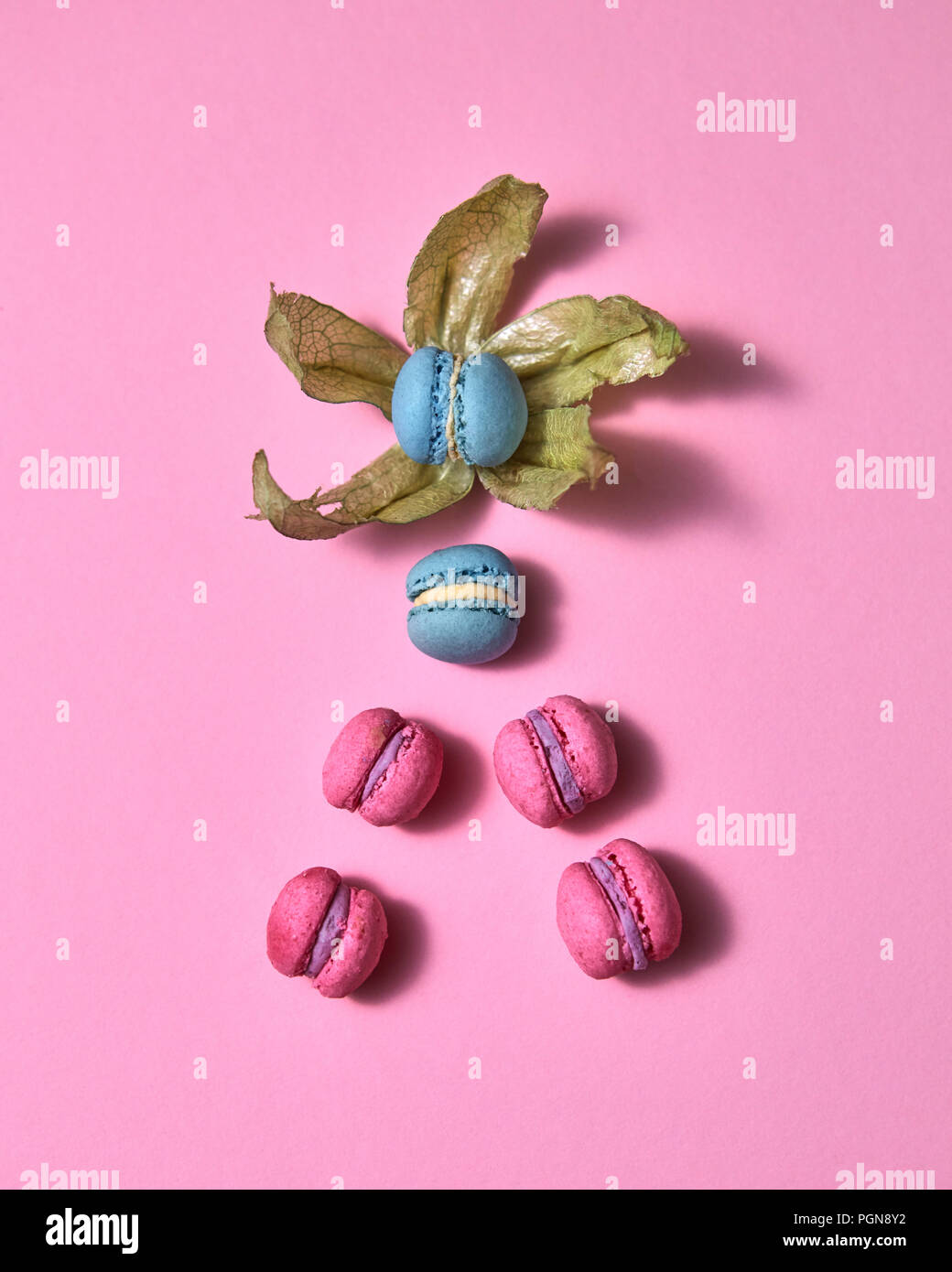 Multicolored homemade macaroons pattern on a pink background Modern ...