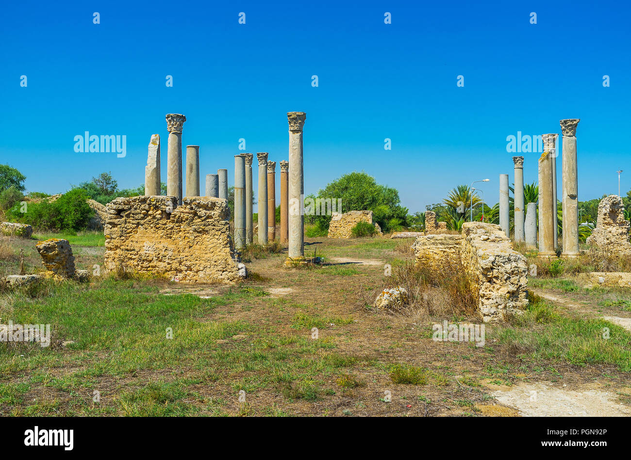 Archaeological site of antique Carthage with tall columns of ruined ...