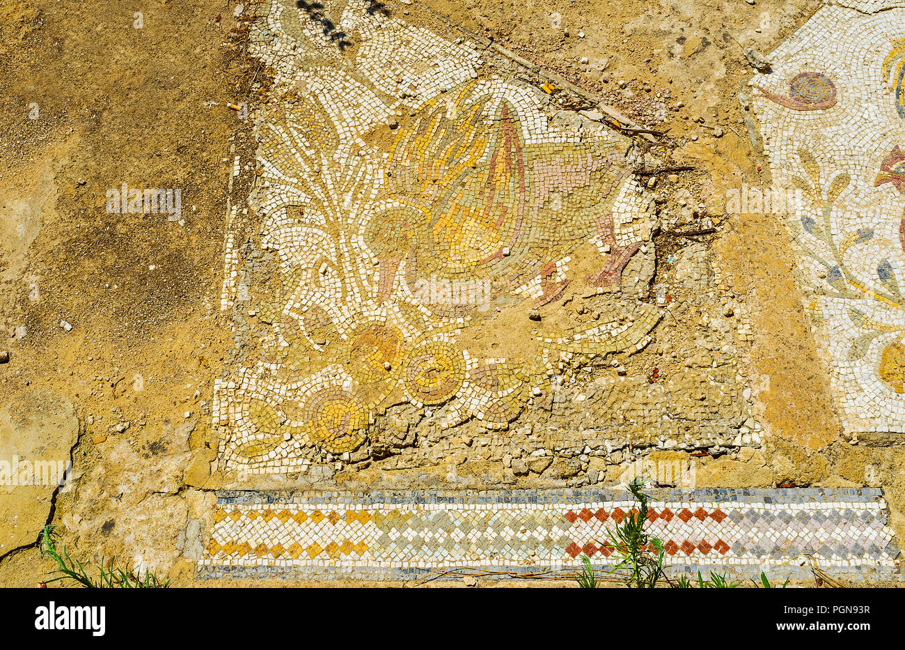 CARTHAGE, TUNISIA - AUGUST 31, 2015: The fragment of ancient mosaic ...