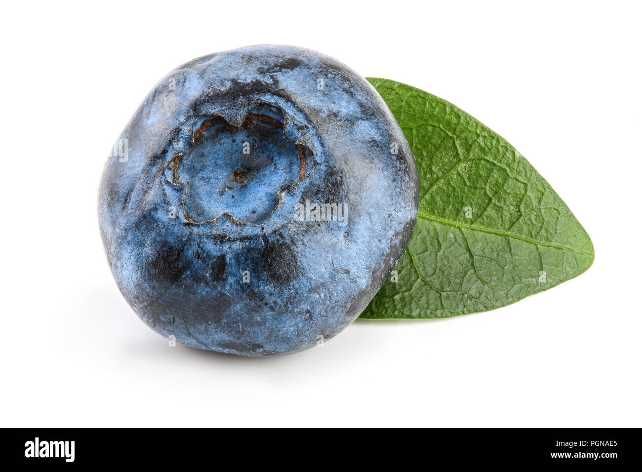 Single fresh blueberry with leaf isolated on white background Stock ...