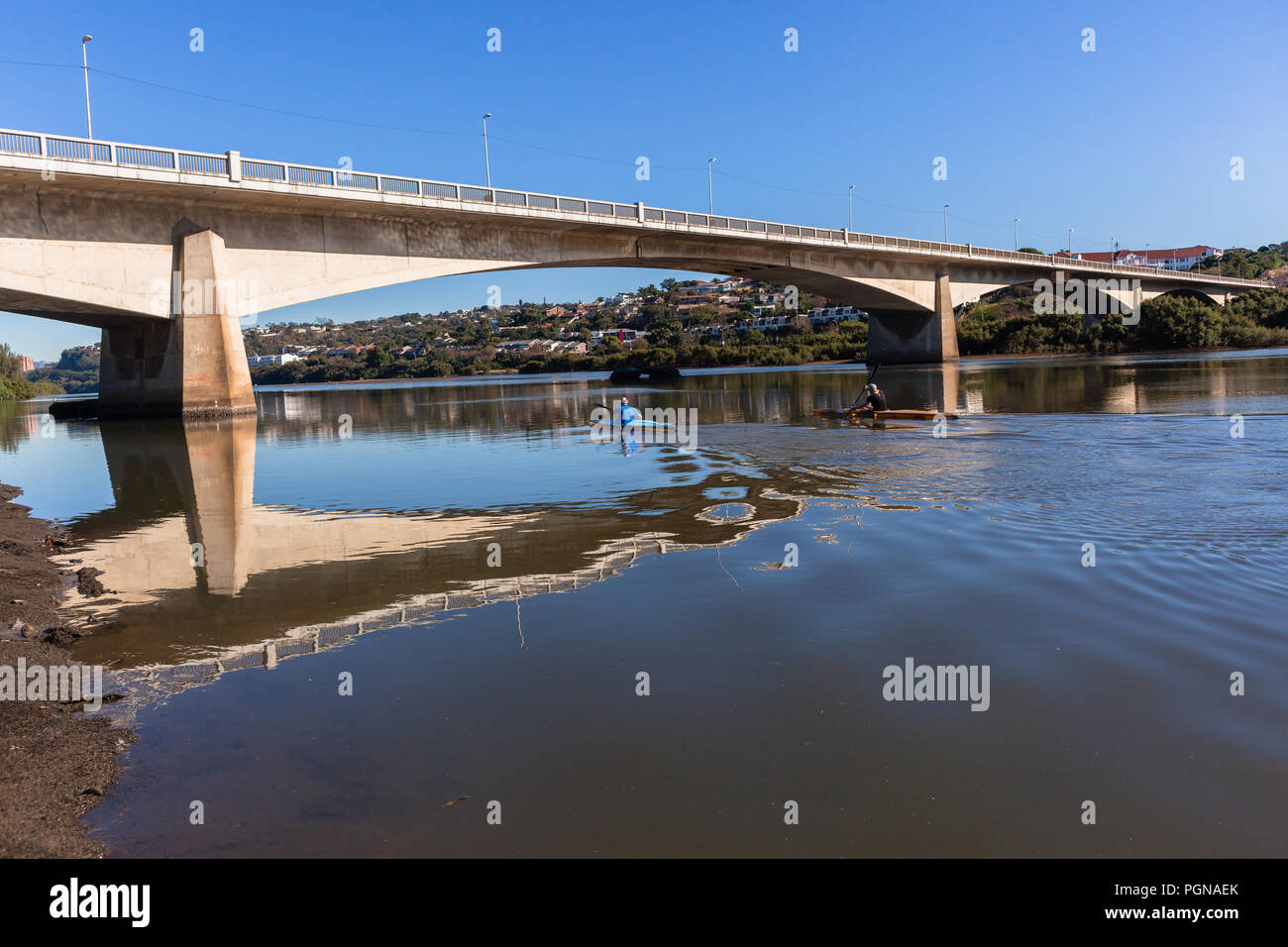 Two paddlers canoeing morning practice up glassy river waters under ...