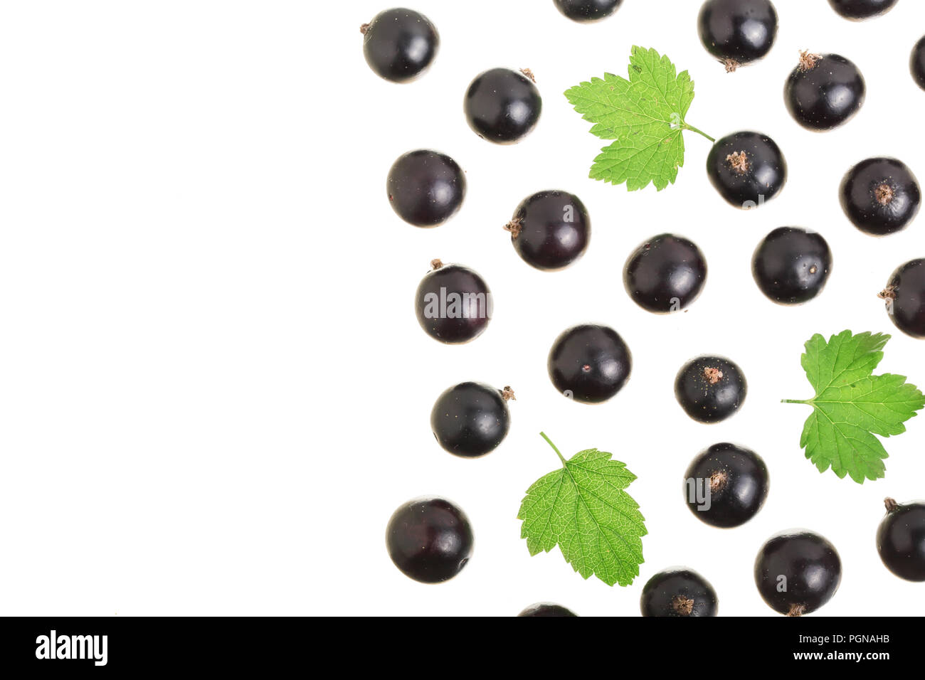 black currant isolated on white background with copy space for your ...
