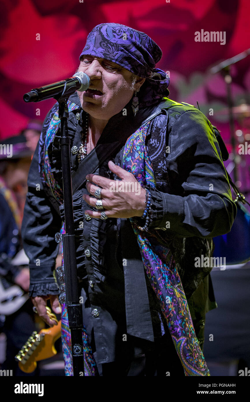 Steven Van Zandt as Little Steven & The Disciples of Soul perform live ...