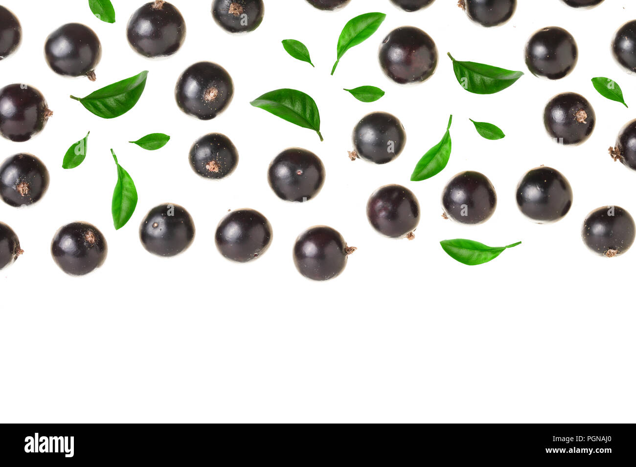black currant isolated on white background with copy space for your ...