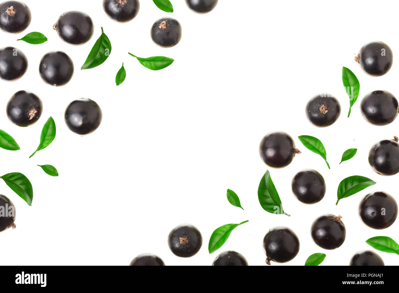 black currant isolated on white background with copy space for your ...