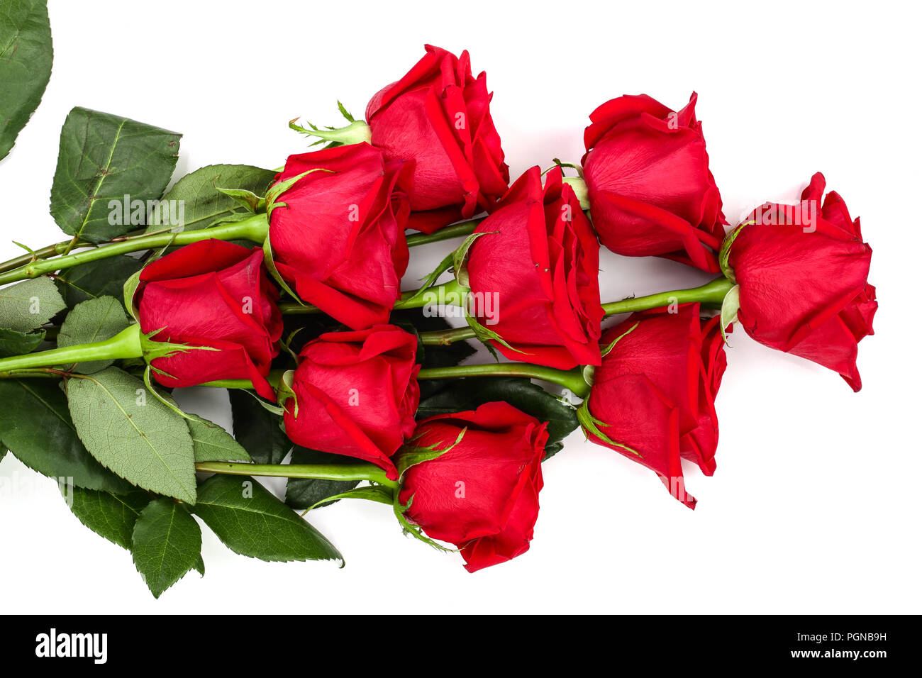 beautiful red rose isolated on white background. Top view. Flat lay ...