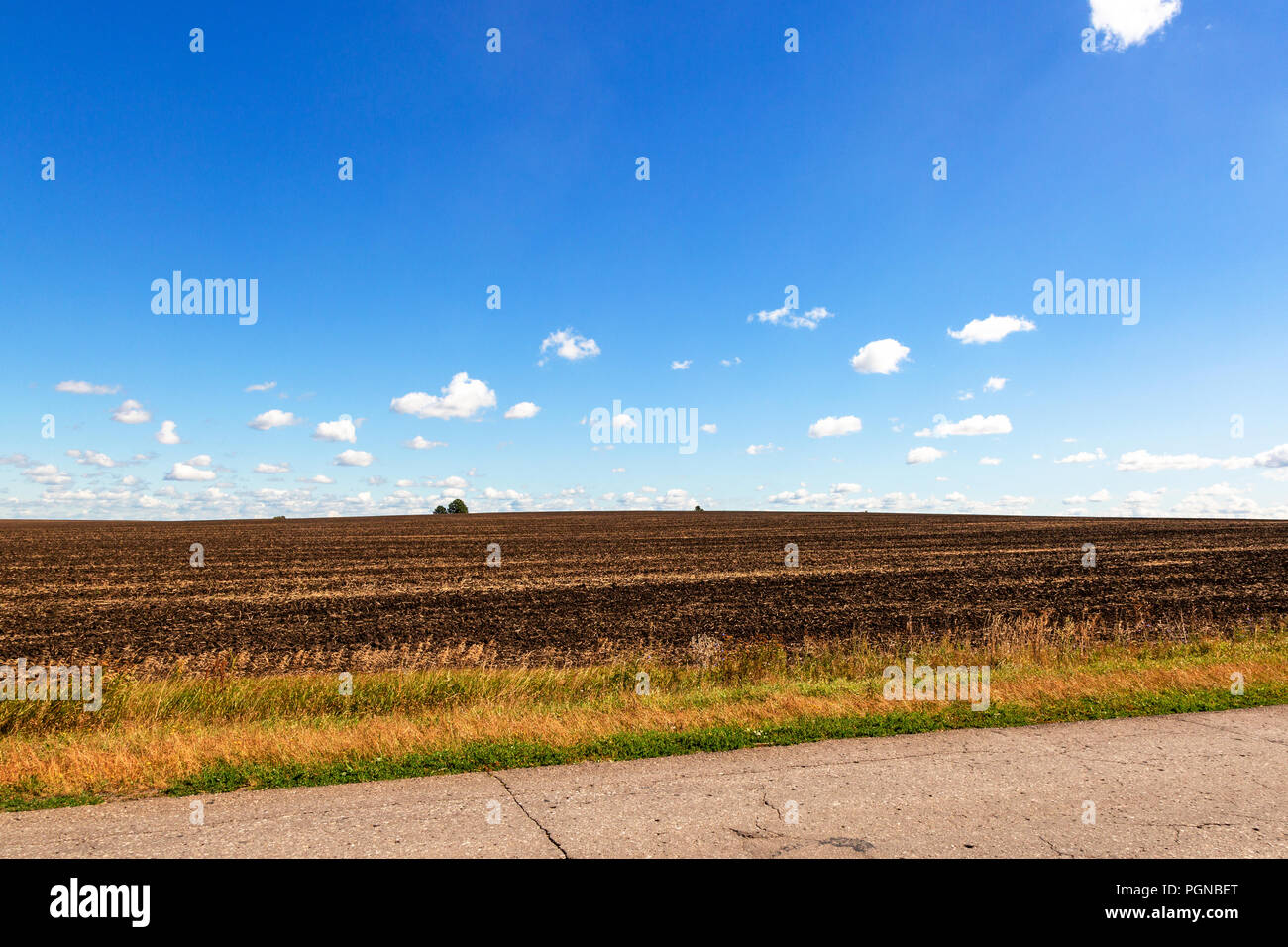 Grass field, green spring landscape with a beautiful sky Stock Photo ...