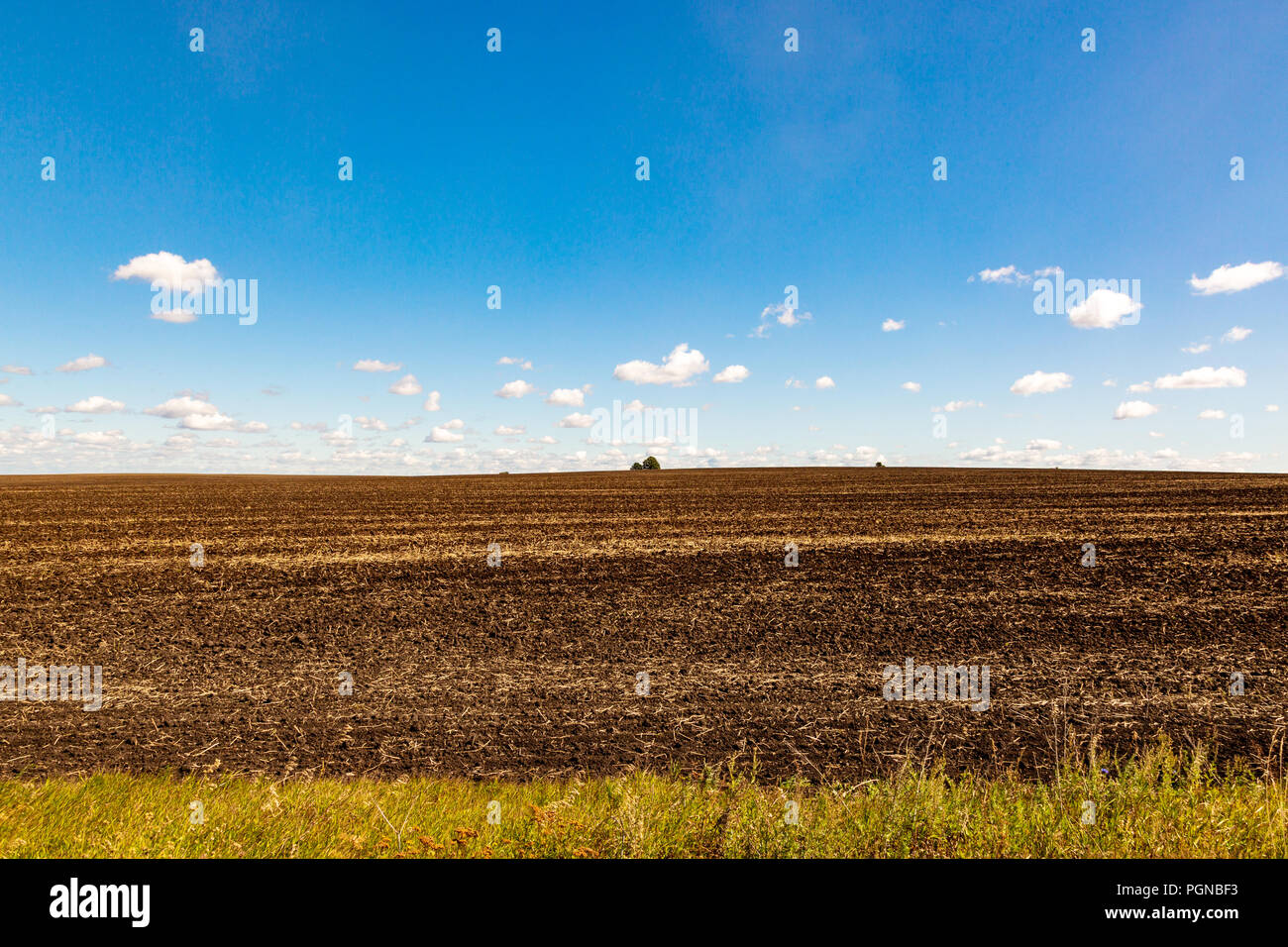 Grass field, green spring landscape with a beautiful sky Stock Photo ...