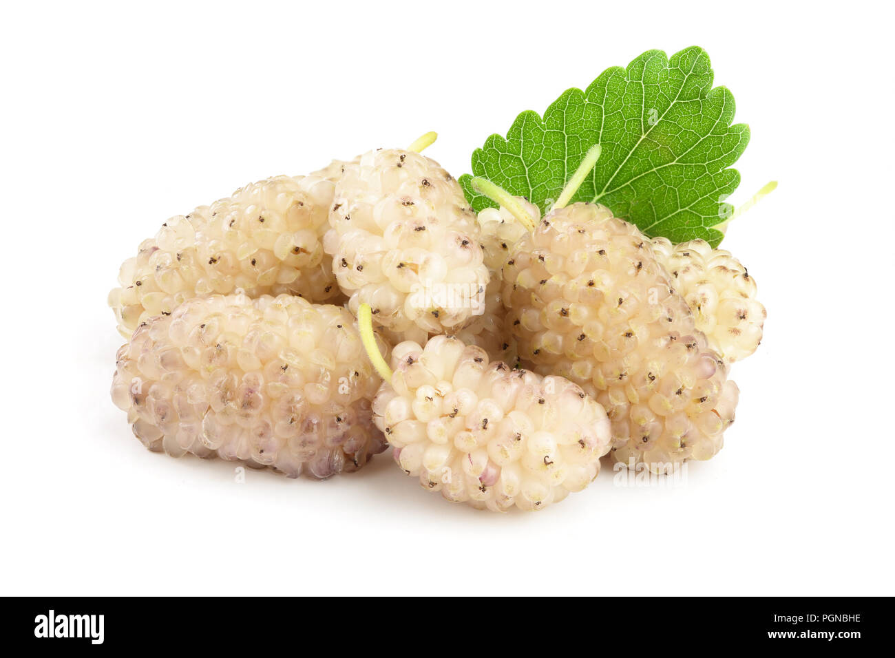 Fresh ripe white Mulberry berry with leaf isolated on white background ...