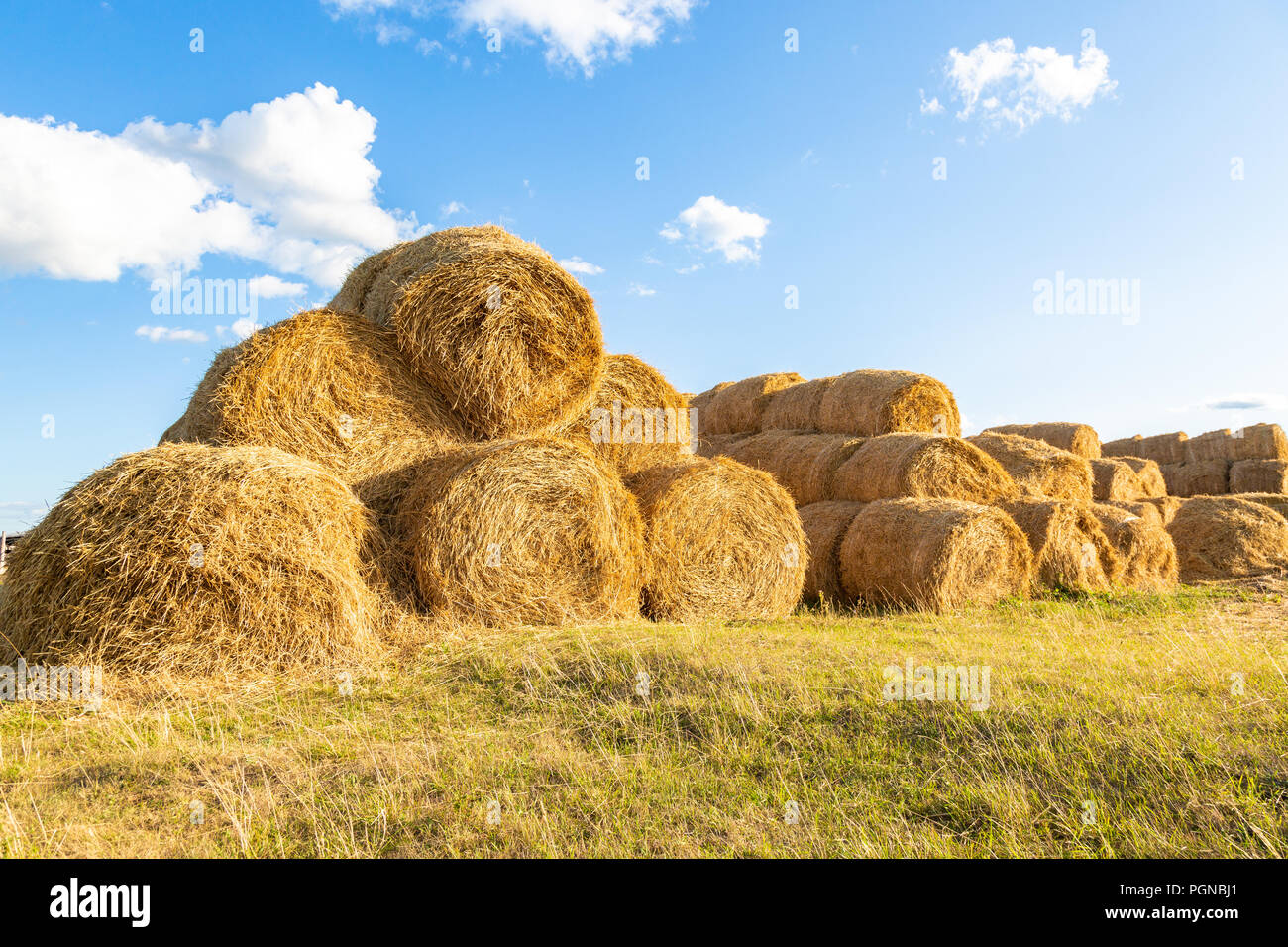 Straw coils hi-res stock photography and images - Alamy