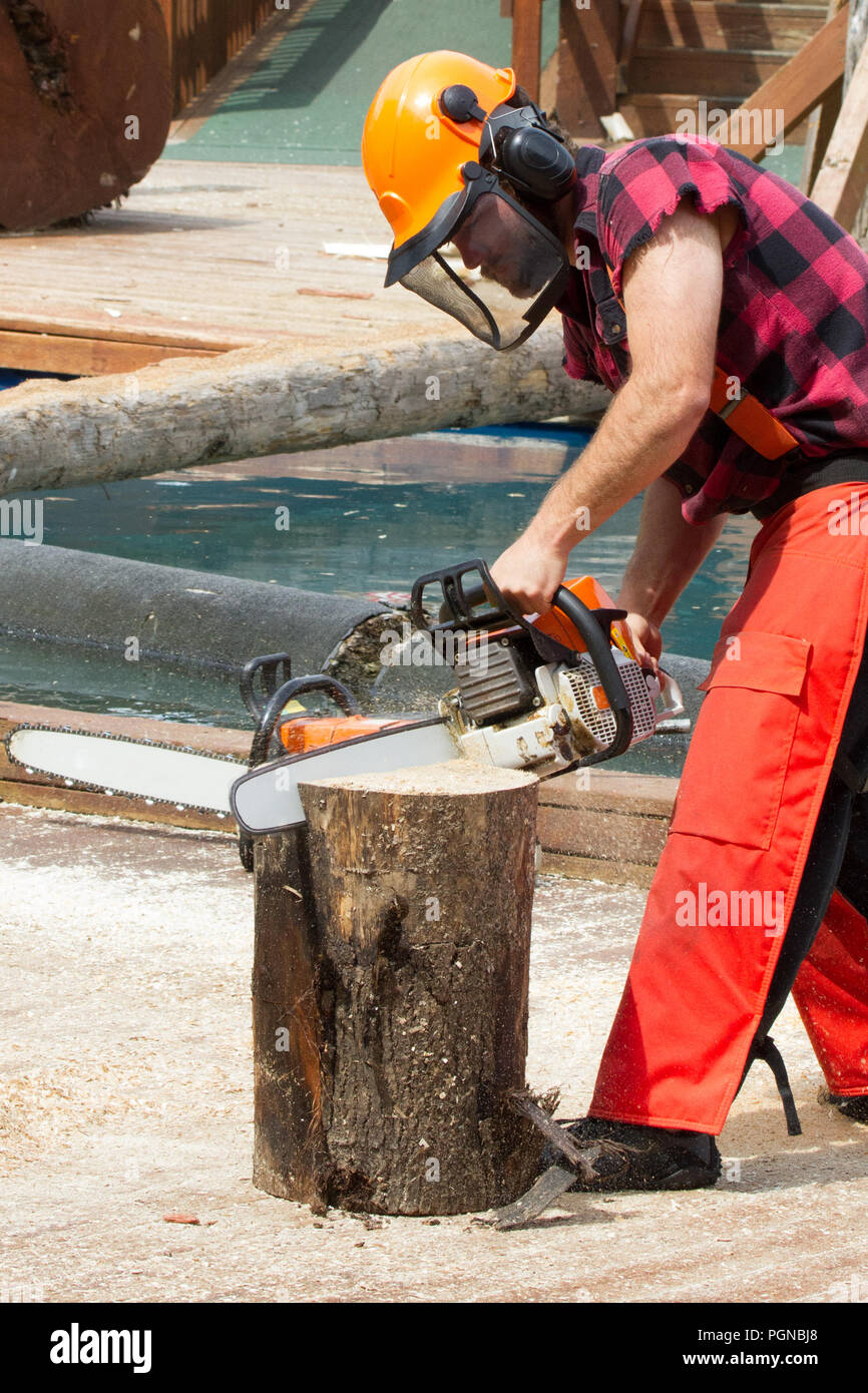 Lumbar jack demonstrating vertical chain saw cut through log segment ...
