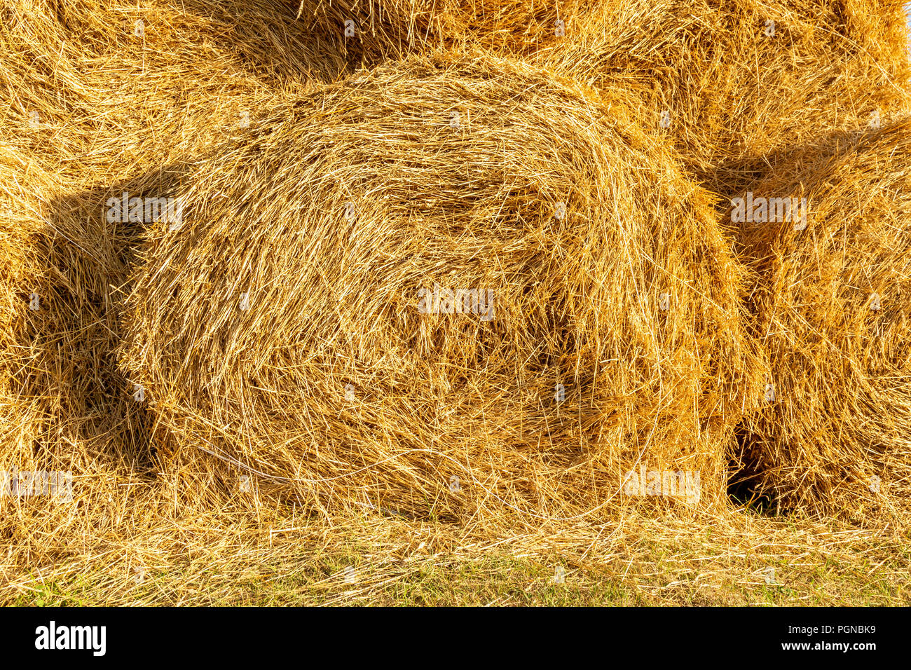 Background of straw stack, twisted in the form of a spiral for storage ...