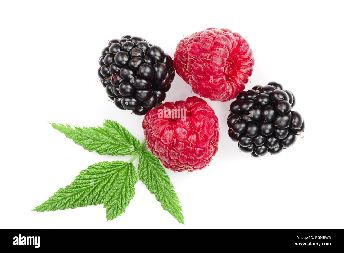 blackberry and raspberry with leaves isolated on white background. Top ...