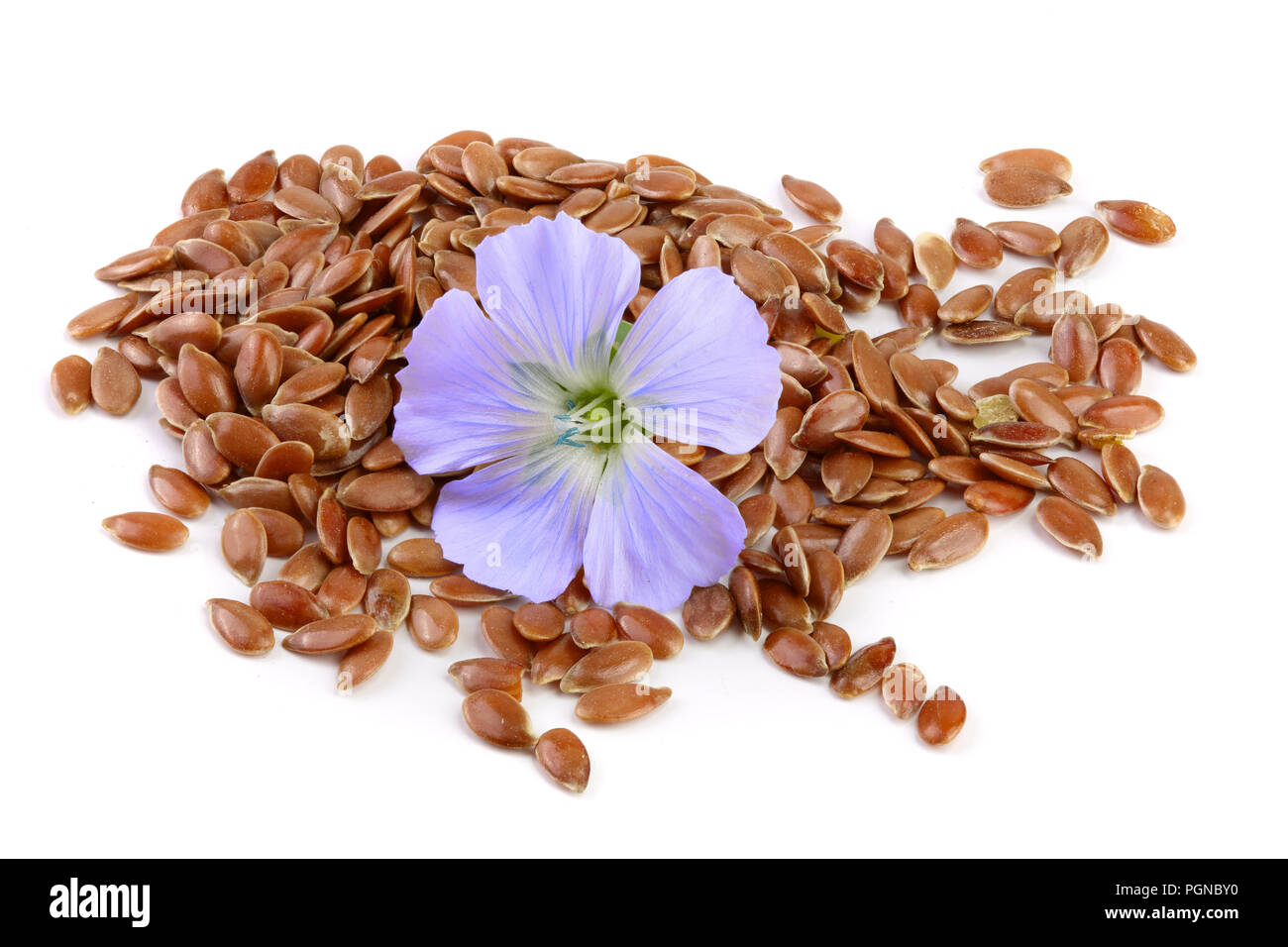 Flaxseed flower hi-res stock photography and images - Alamy