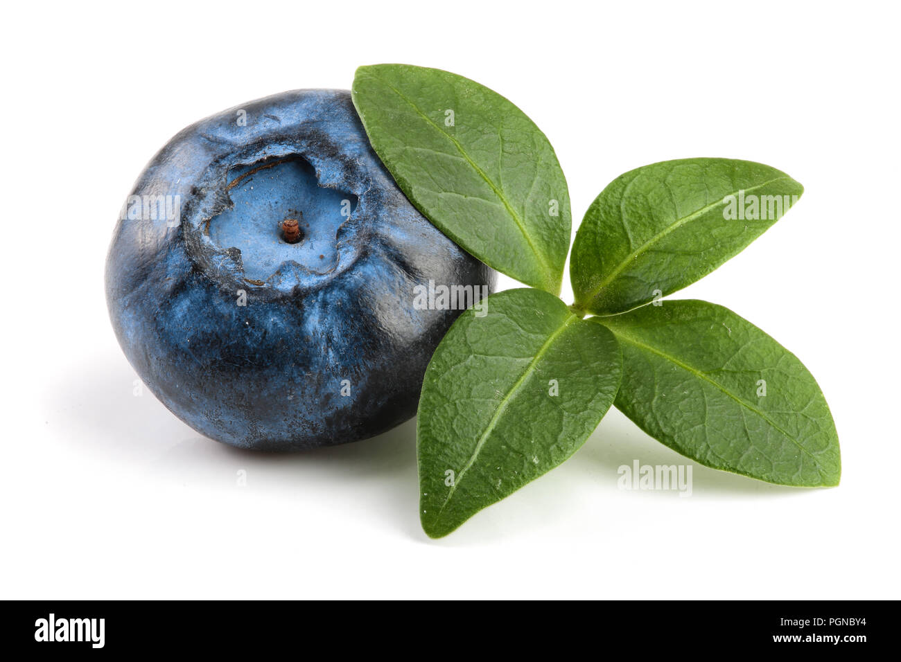 Single fresh blueberry with leaf isolated on white background Stock ...