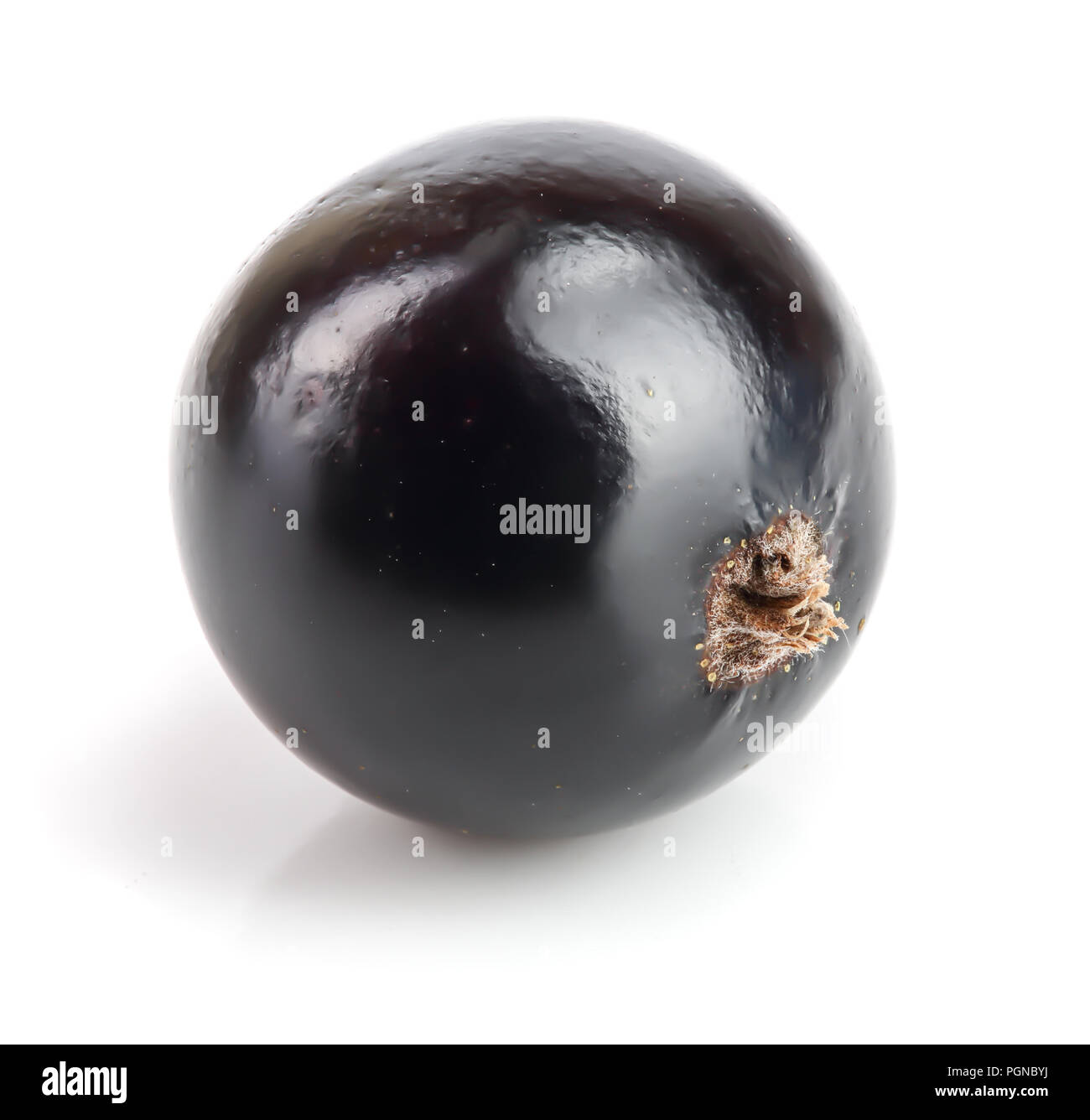 One black currant isolated on white background Stock Photo - Alamy