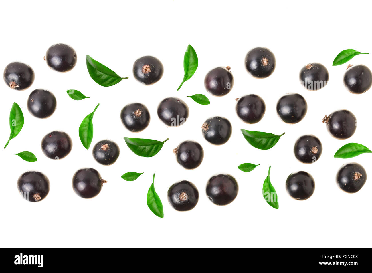 black currant isolated on white background with copy space for your ...