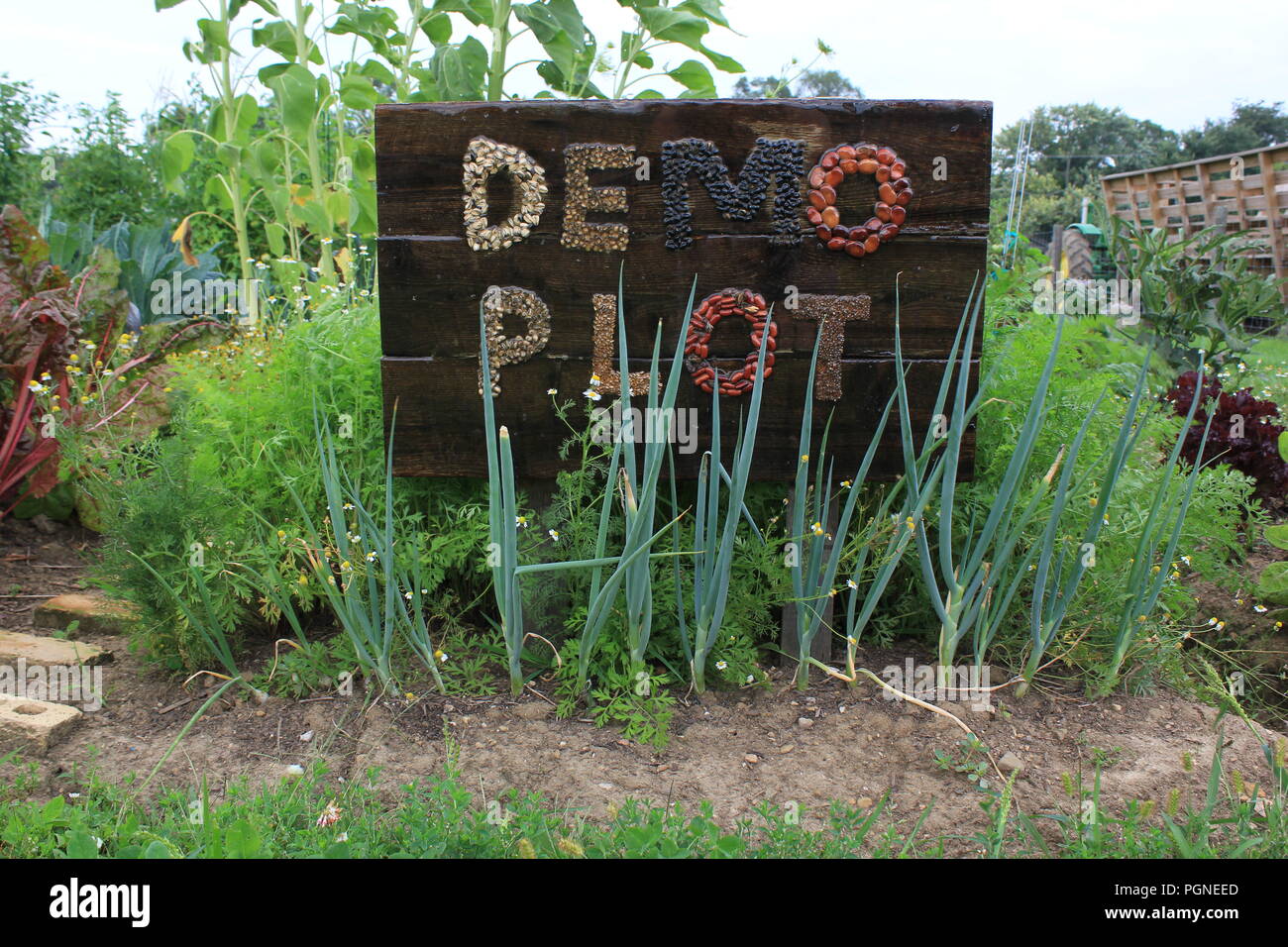 Demo plot handmade wooden sign at the local community garden Stock ...
