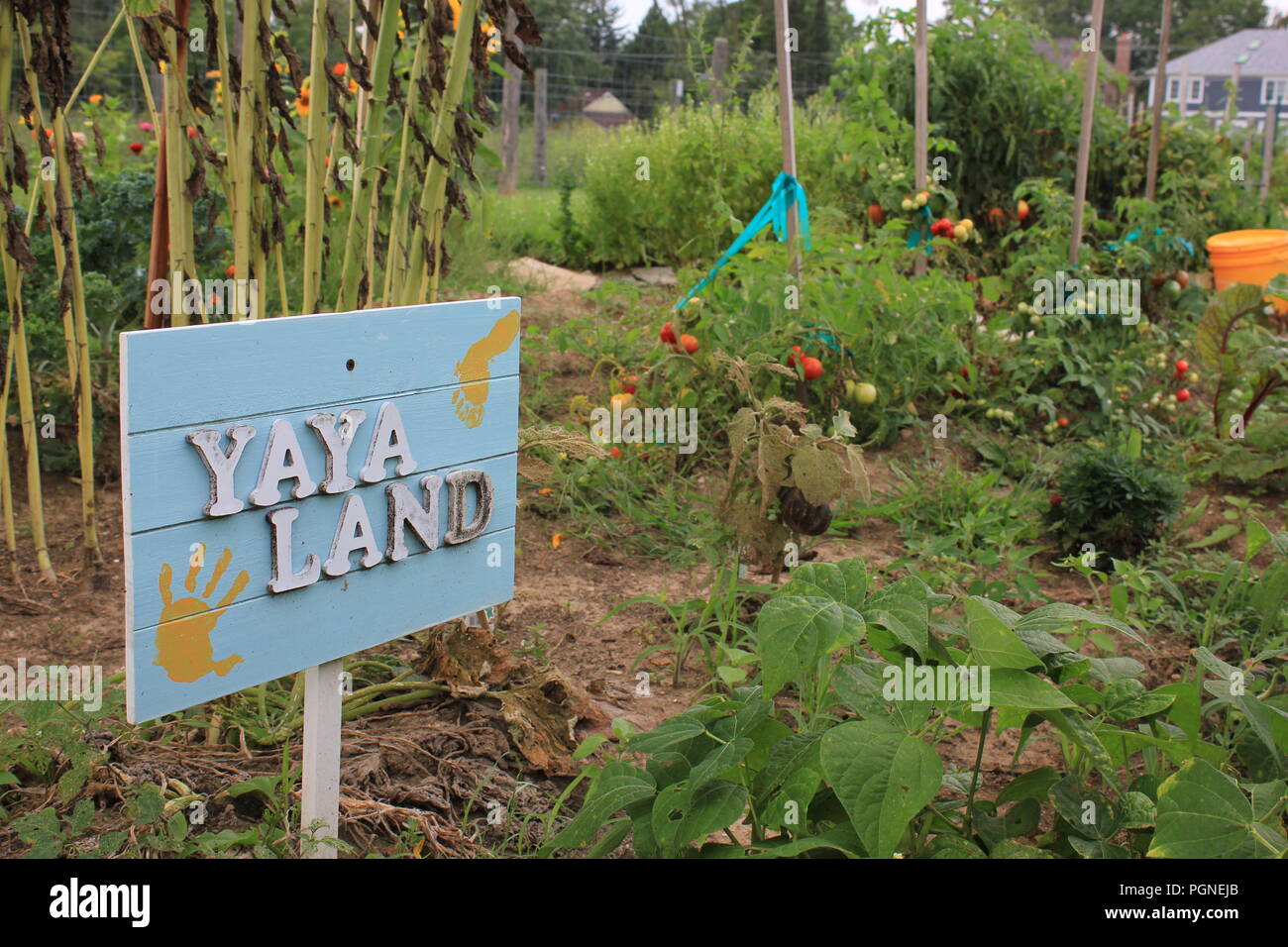 Recreational Plot High Resolution Stock Photography and Images - Alamy