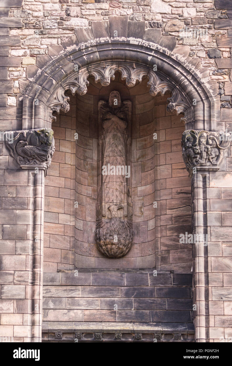 Scottish eagle feathers hi-res stock photography and images - Alamy