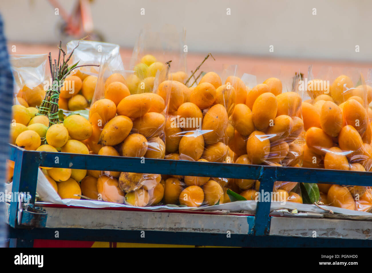 Plango fruit or Marian Plum, famous tropical fruit in Thailand for sale ...